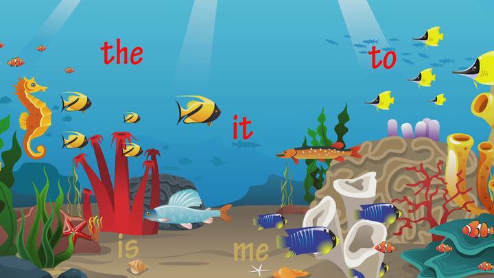 Sight Words | Discovery Education