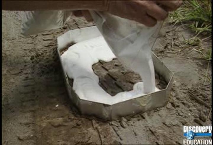 Forensic Detectives: Mysteries and Solutions | Discovery Education