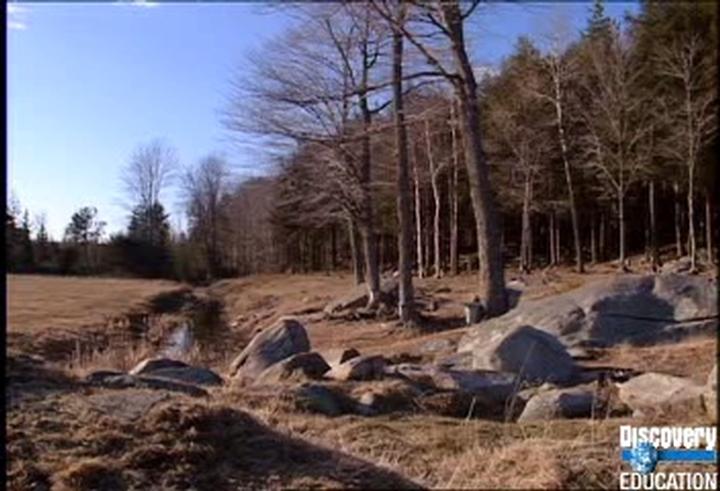 U.S. Geography: The Northeast | Discovery Education