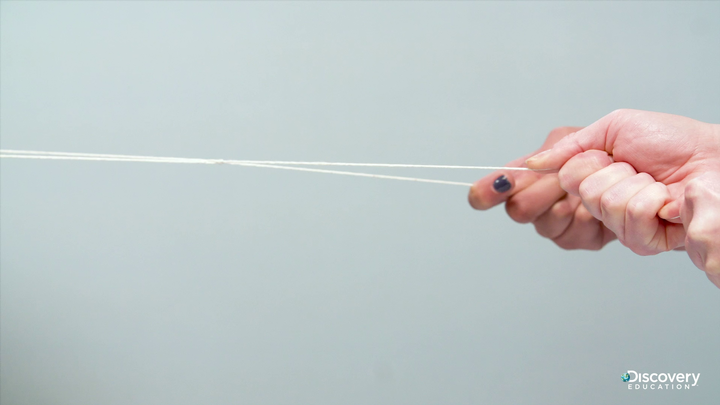 Hands-On Activity: Mini Tug-of-War | Discovery Education