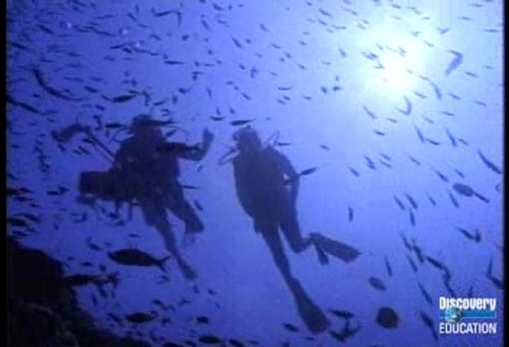 Elementary Video Adventures: Oceans | Discovery Education