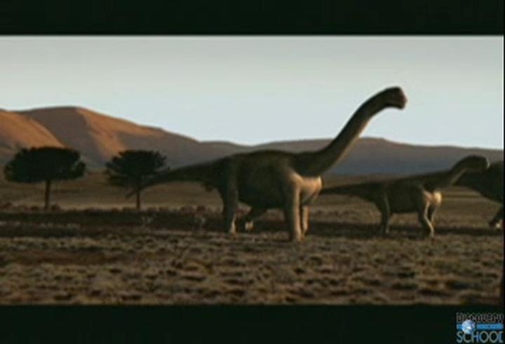 When Dinosaurs Roamed America | Discovery Education