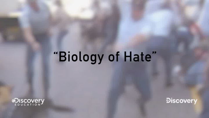 WHY WE HATE Selects: Biology of Hate | Discovery Education