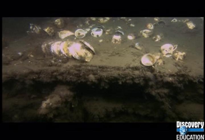 Underwater Forensics | Discovery Education