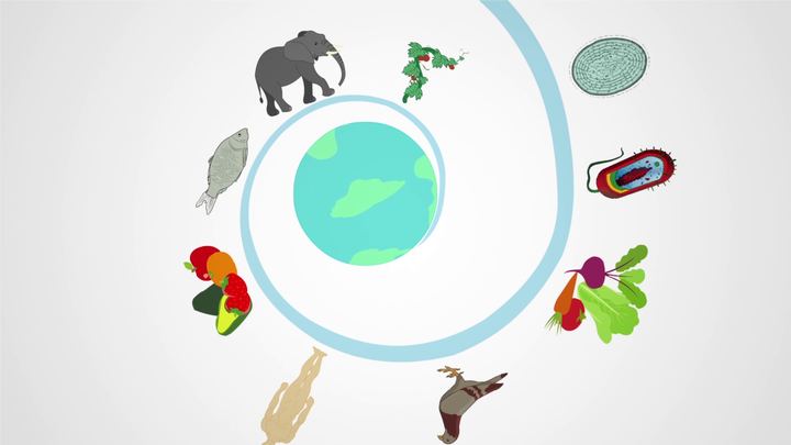 Cells: Structures and Function | Discovery Education