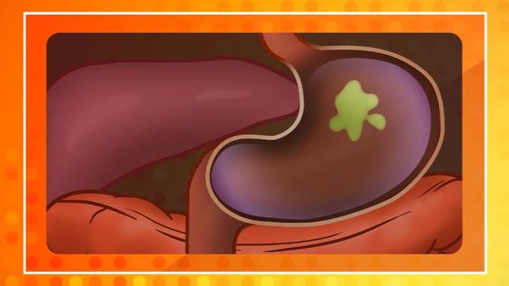 Science in Progress: Digestion in the Small Intestine | Discovery Education