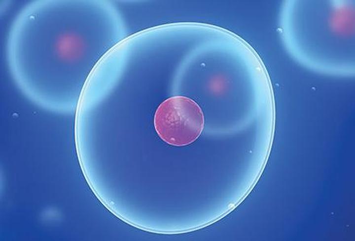 Cells | Discovery Education