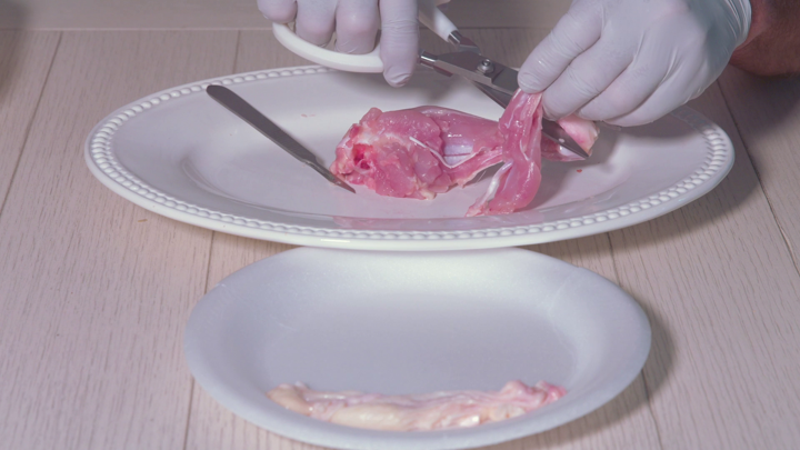 Real-World Phenomena: Chicken Leg Dissection | Discovery Education