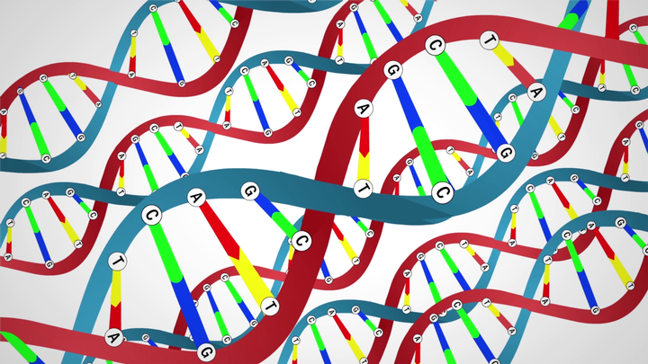 Introduction: Genomes | Discovery Education