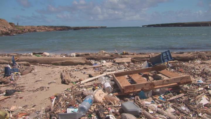 Human Impact: Pollution in the Ocean (Spanish Version) | Discovery ...