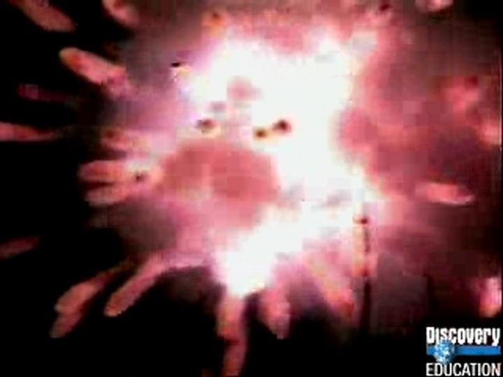 Science Investigations: Physical Science: Investigating Chemical ...