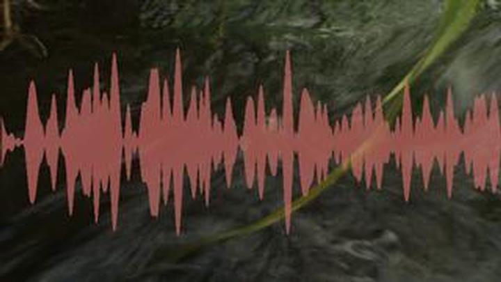 Discovery Science Alliance: What's That Sound? (Music Video ...
