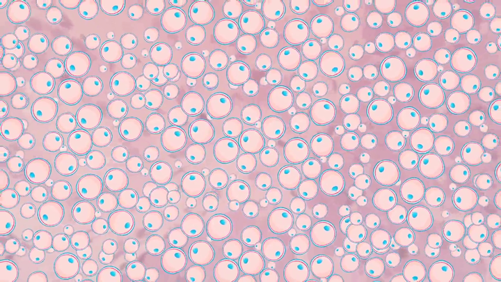Specialized Cells and Tissue | Discovery Education